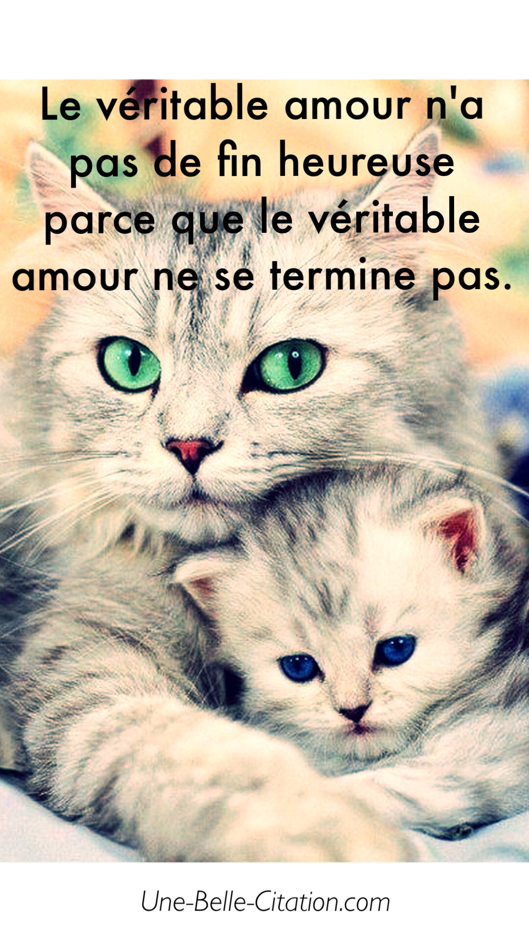 « L’amour n’a pas de fin heureuse parce que le véritable amour ne se ...