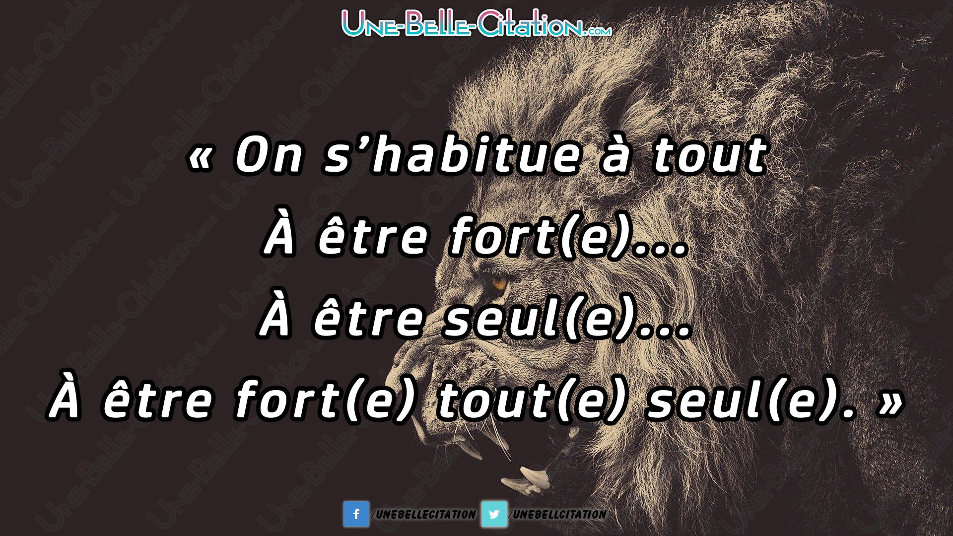 « On s’habitue à tout À être fort(e)… À être seul(e)… À être fort(e ...
